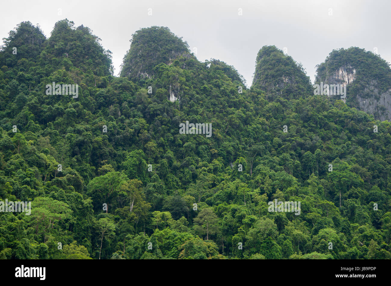 Jungle covered karst in southeast Asia Stock Photo - Alamy