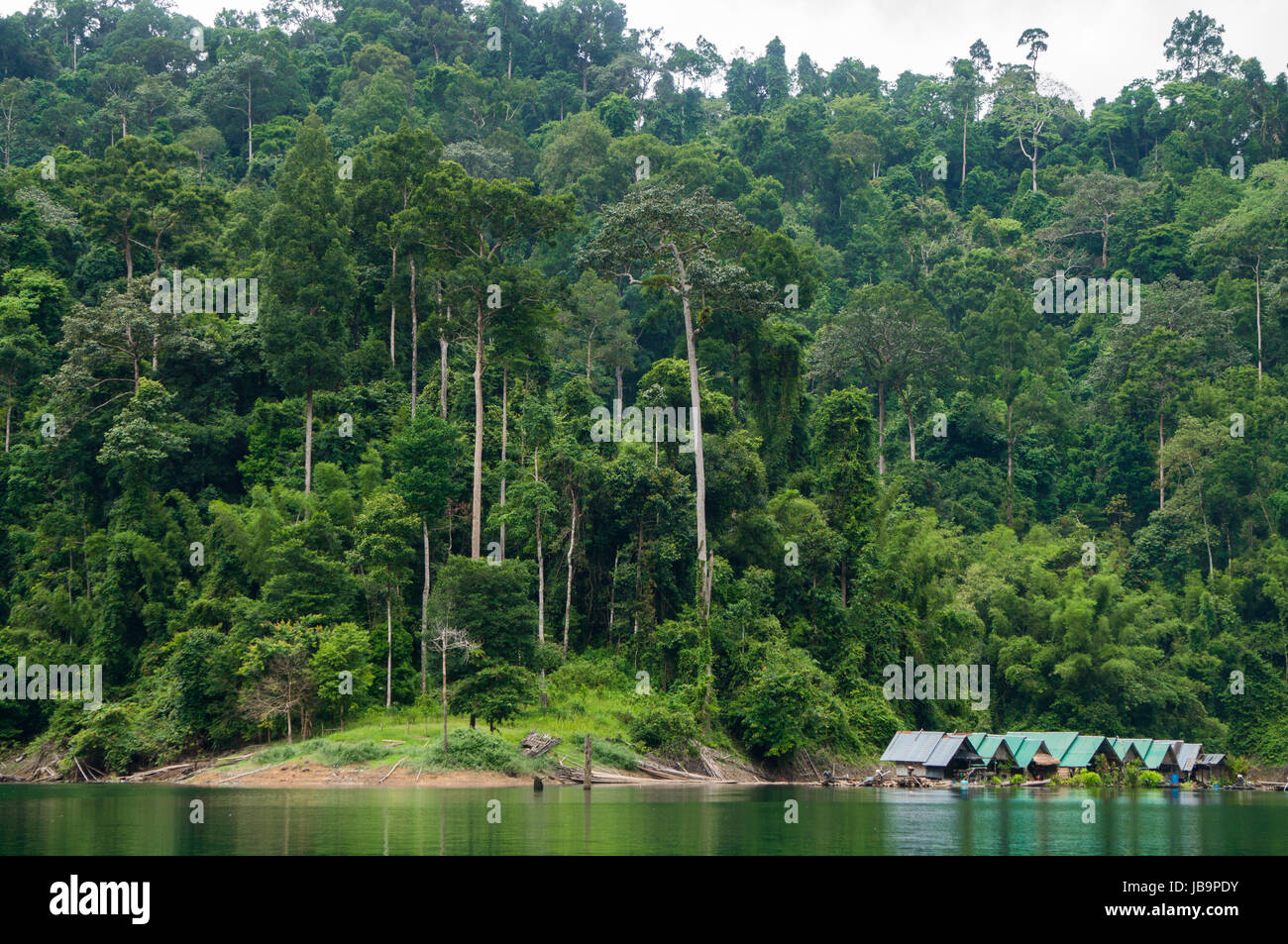 Small floating village in the jungle of Thailand Stock Photo - Alamy
