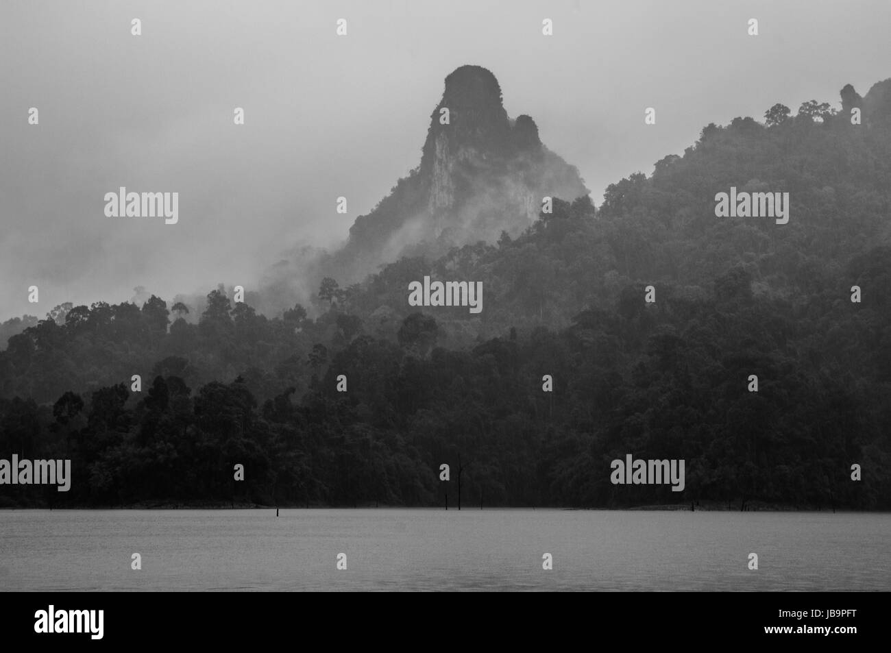Rain in tropical jungle Black and White Stock Photos & Images - Alamy