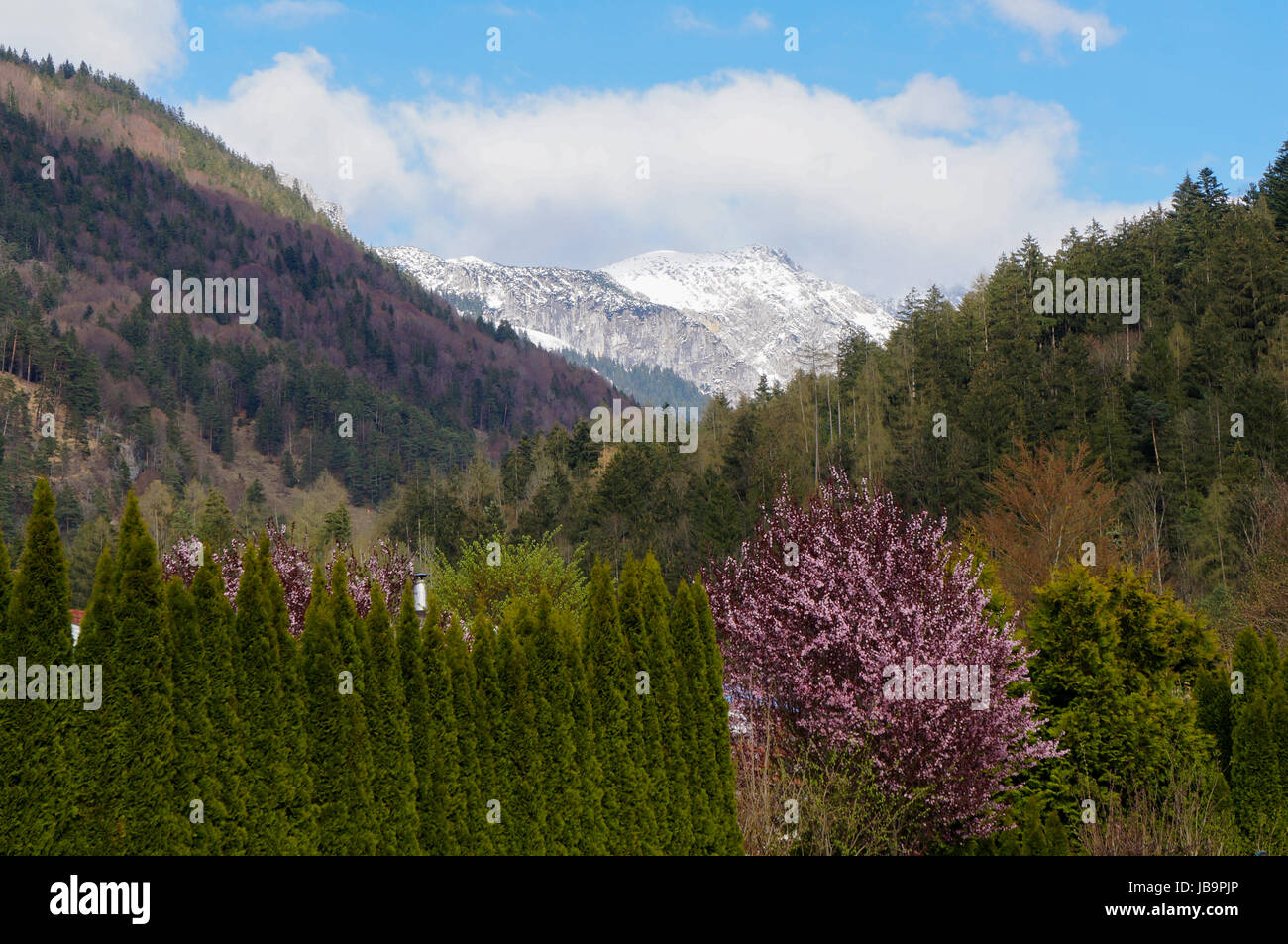 Beautiful alpine scenery hi-res stock photography and images - Alamy