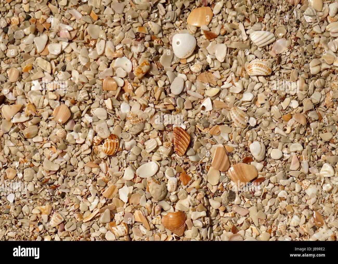 Conchal Costa Rica High Resolution Stock Photography and Images - Alamy