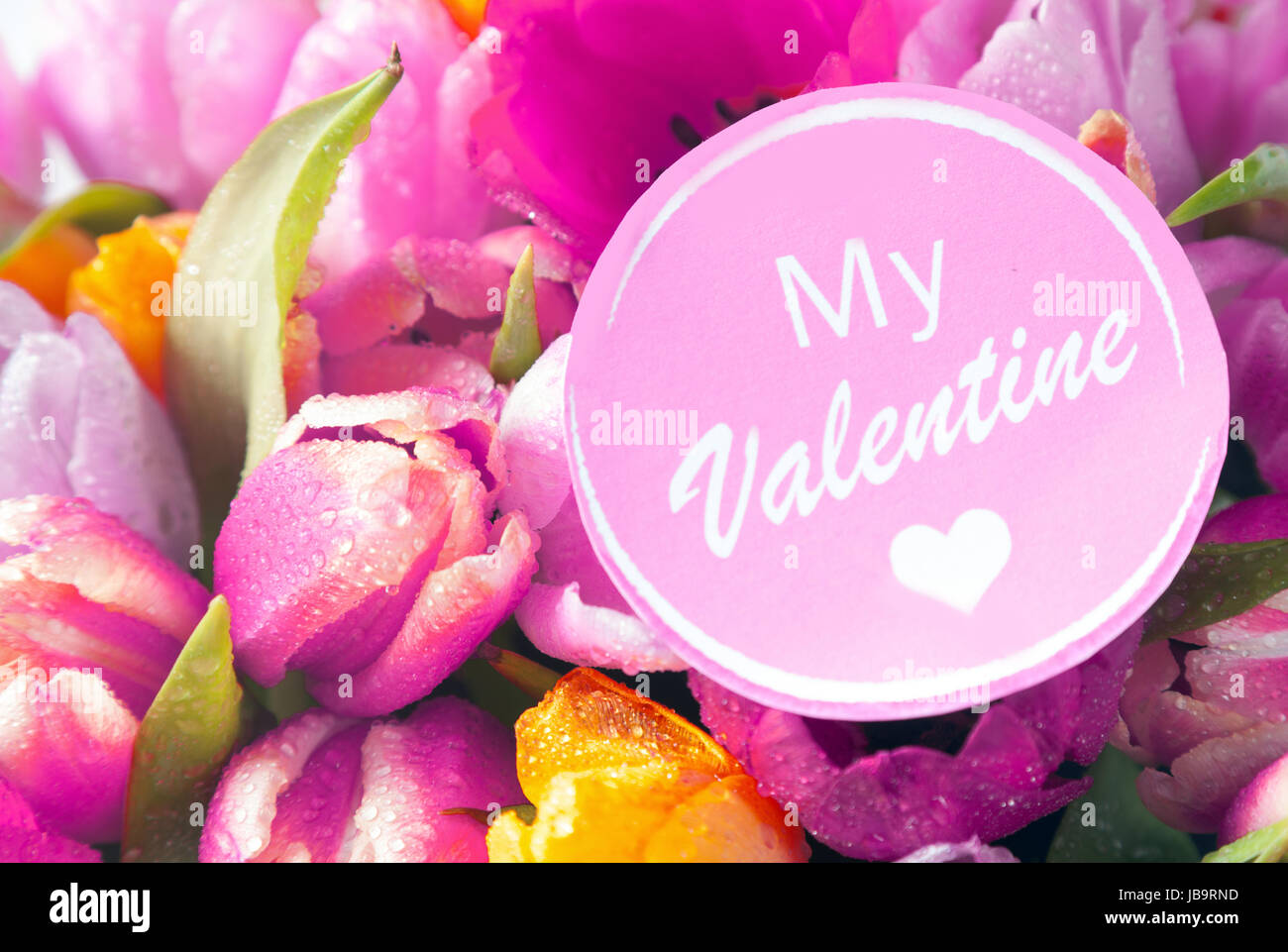 Valentine tulip background with a closeup view of a colourful bunch of ...