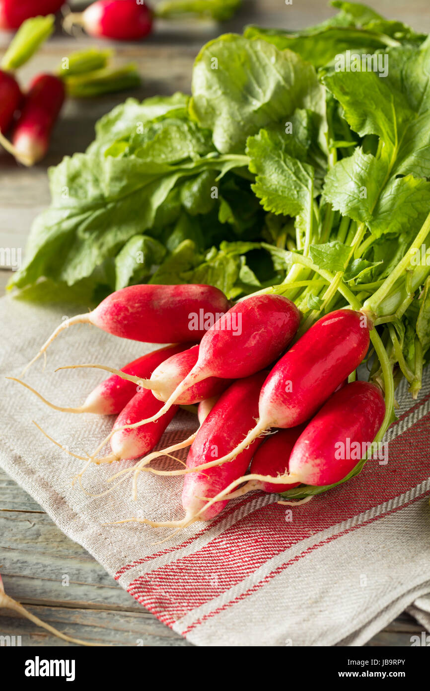 Raw Organic Fresh French Radishes Ready to Eat Stock Photo - Alamy