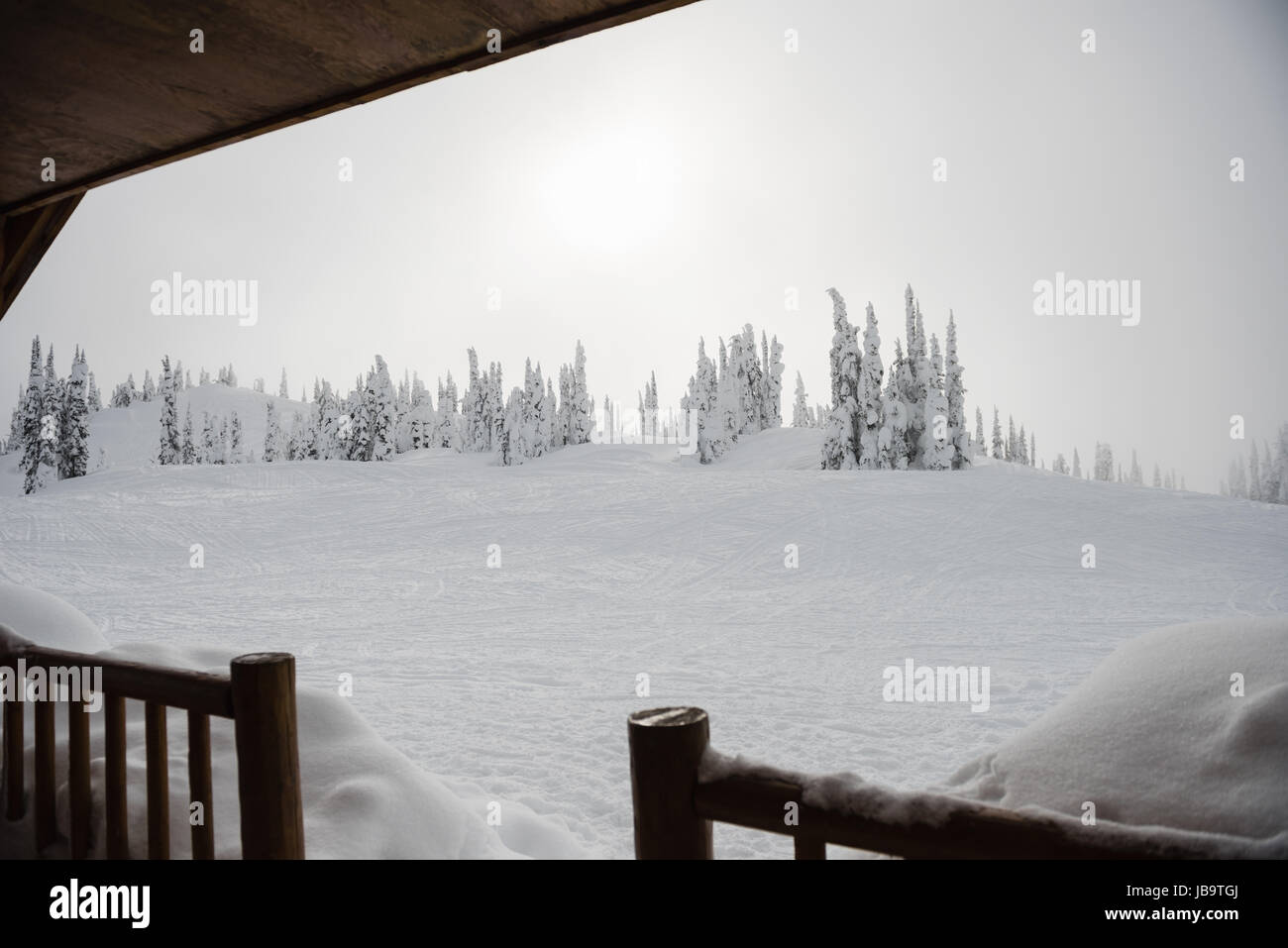 Snowy winter trees in hi-res stock photography and images - Alamy