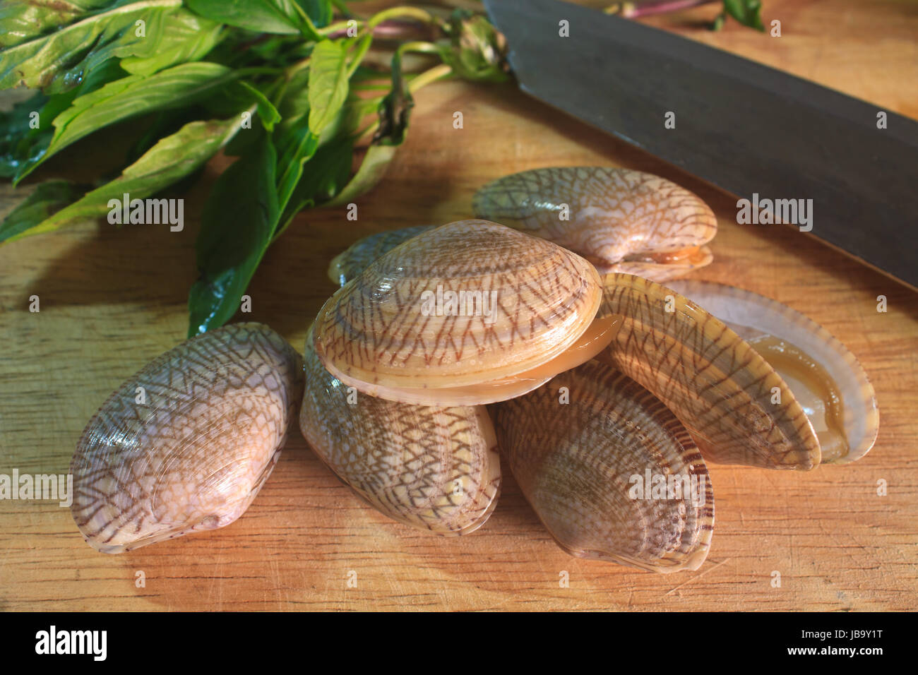 surf clam with basil leaves redy on wooden for cooking Stock Photo - Alamy