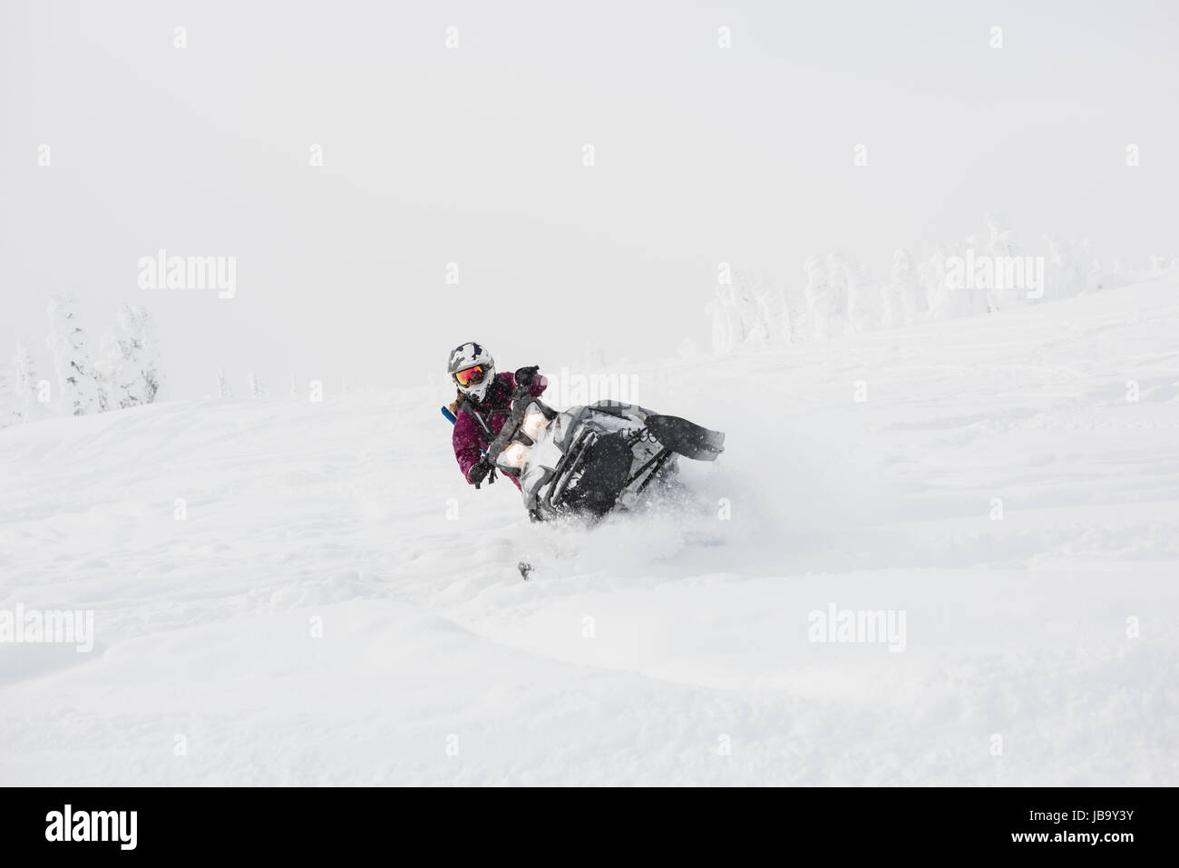 Woman riding snowmobile in snowy alps during winter Stock Photo - Alamy
