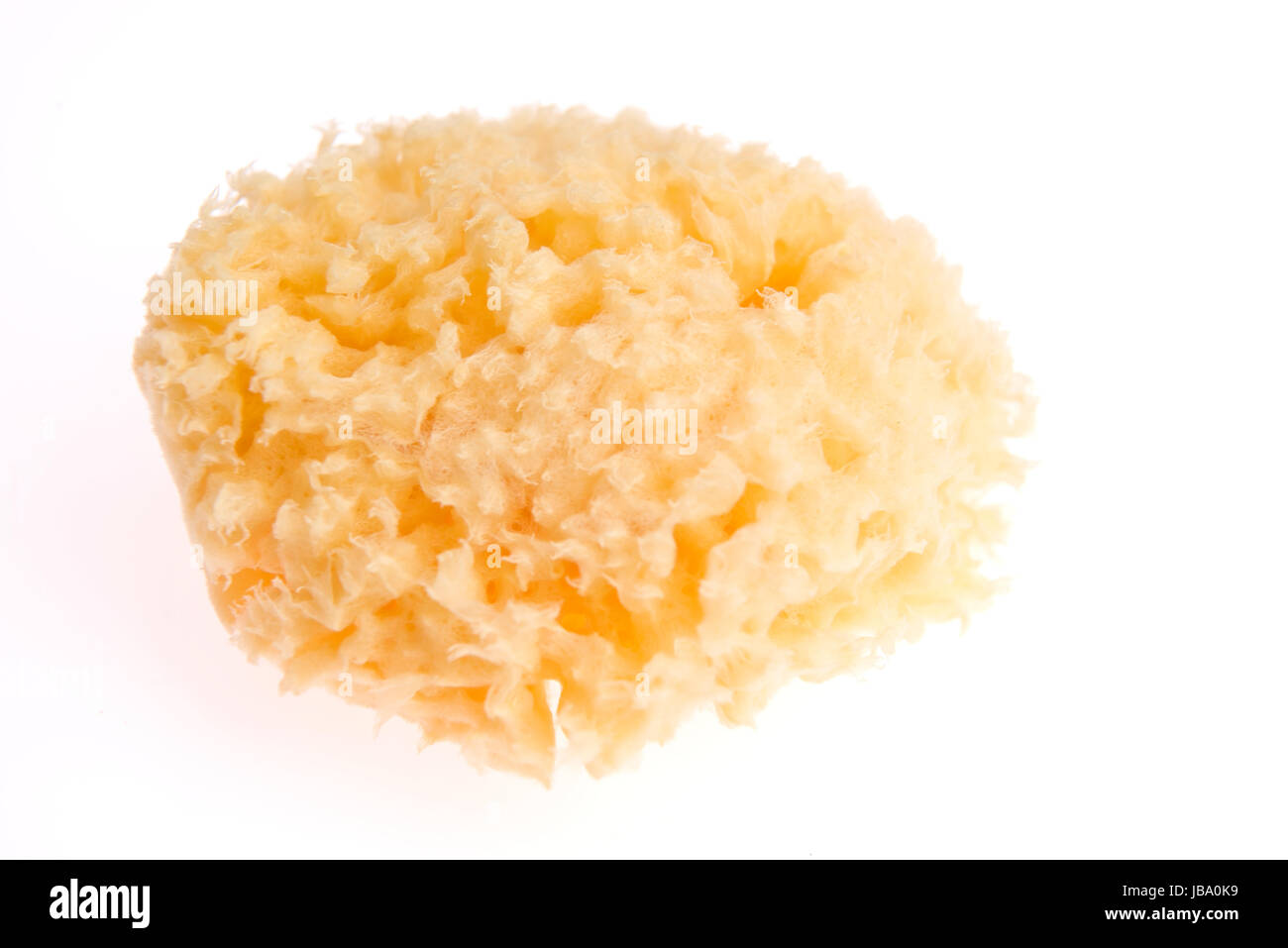 Bath sponge isolated on white background Stock Photo - Alamy