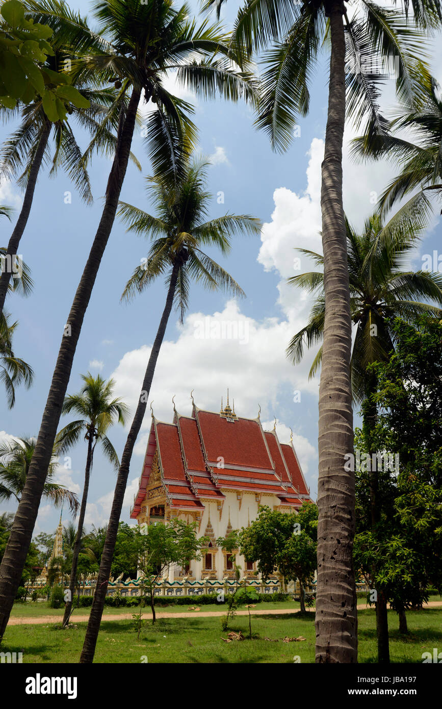Der Tempel Wat Pak Saeng bei Lakhon Pheng am Mekong River in der ...