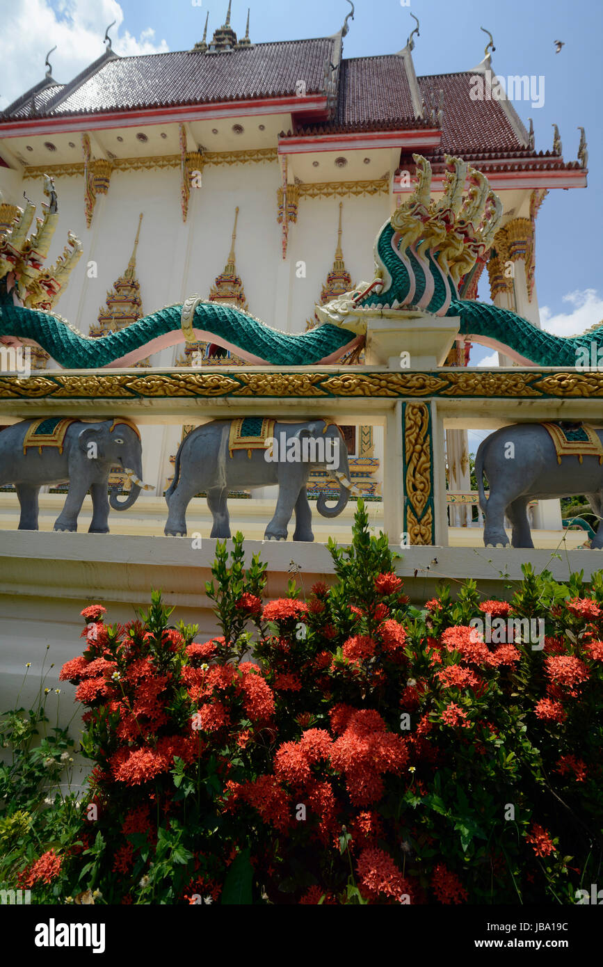 Der Tempel Wat Pak Saeng bei Lakhon Pheng am Mekong River in der ...