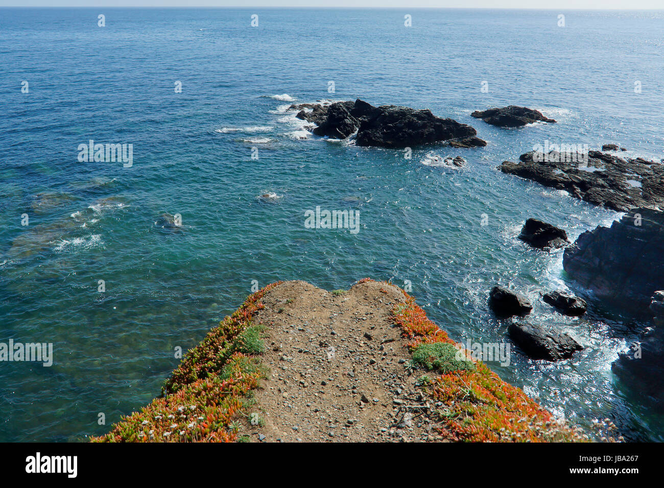 English lizards hi-res stock photography and images - Alamy