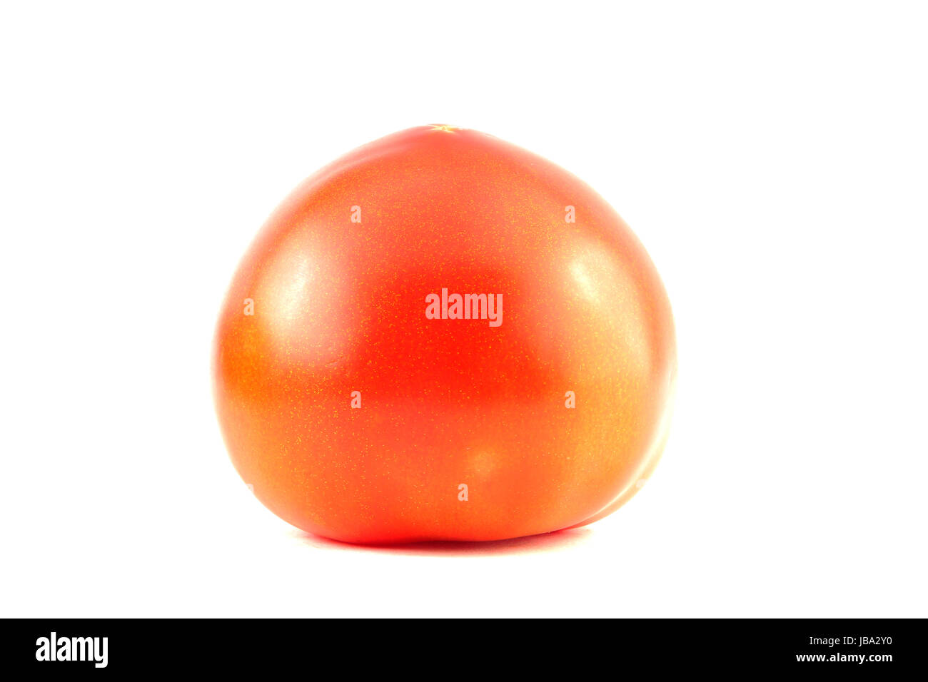one red tomato with isolated white background Stock Photo - Alamy