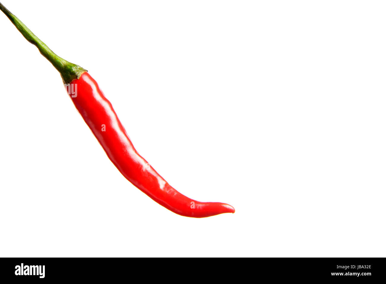 one fresh hot chili pepper isolated on white background Stock Photo - Alamy