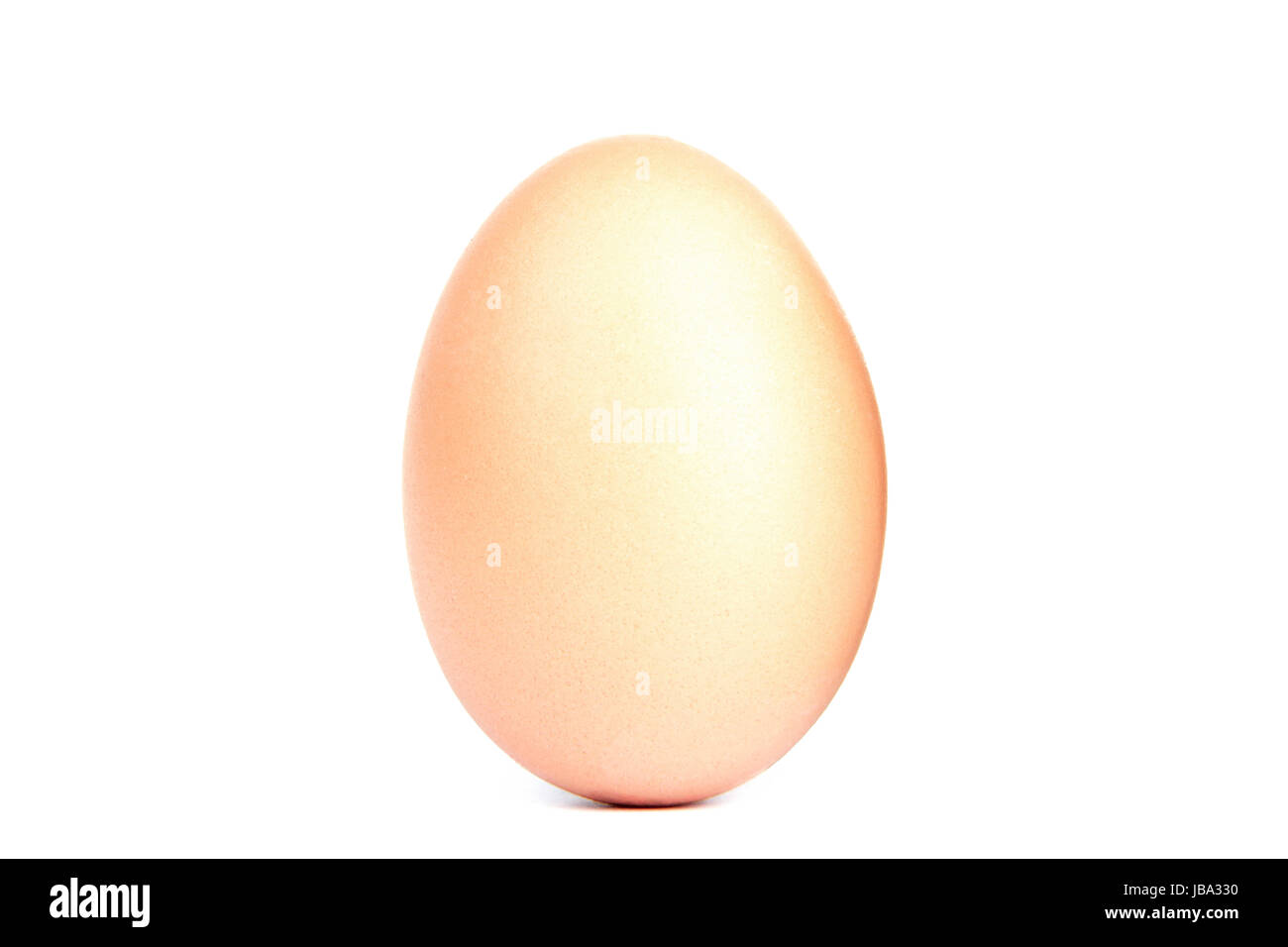 one fresh egg isolated on white background Stock Photo - Alamy