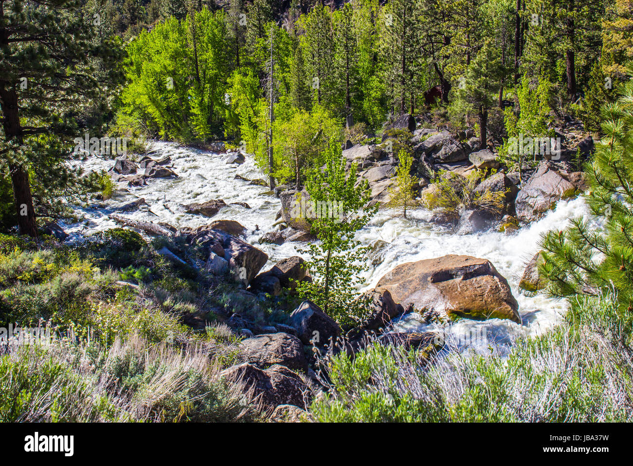 Rushing River From Snow Melt In Mountains Stock Photo - Alamy