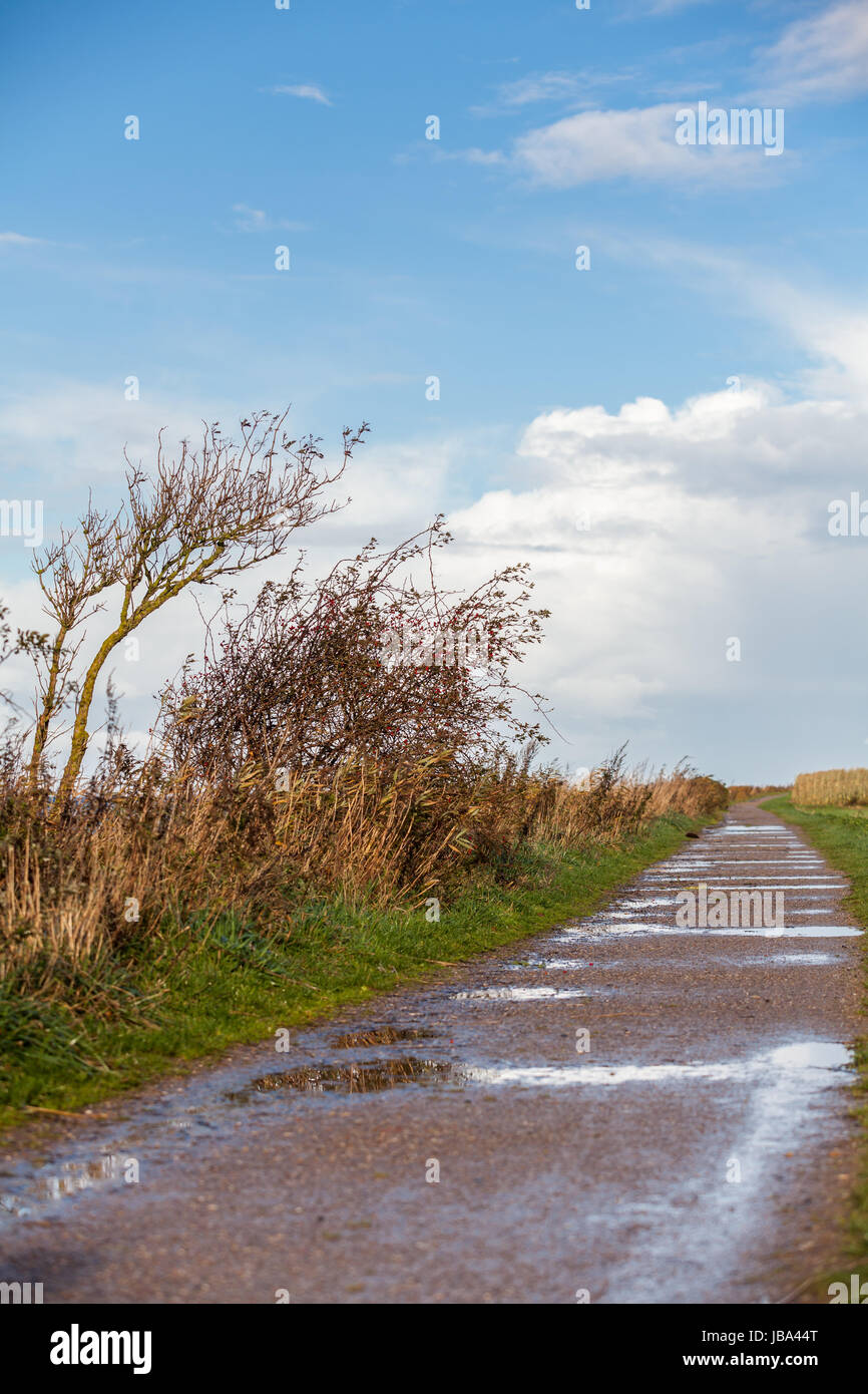 leere straße weg im grünen mit blauem himmel natur weg sommer Stock ...