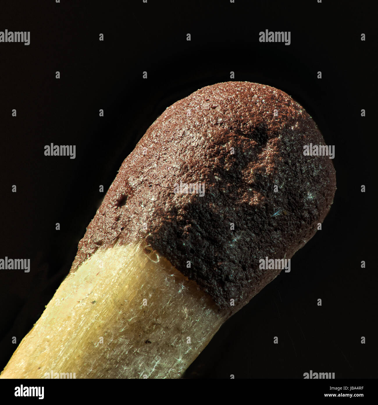 Sulphur head hi-res stock photography and images - Alamy