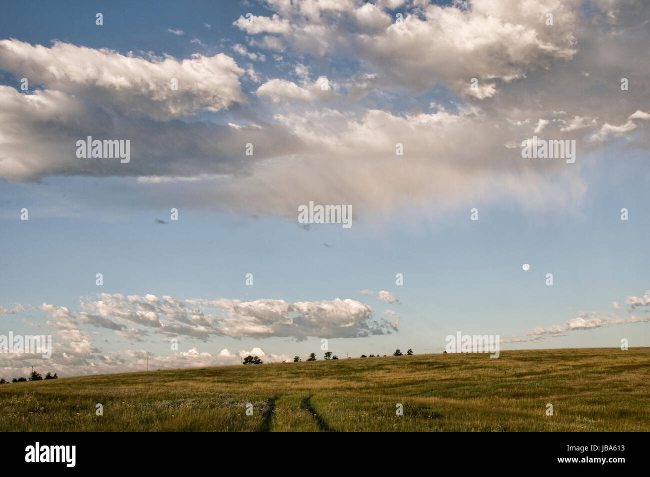Fotolia hi-res stock photography and images - Alamy