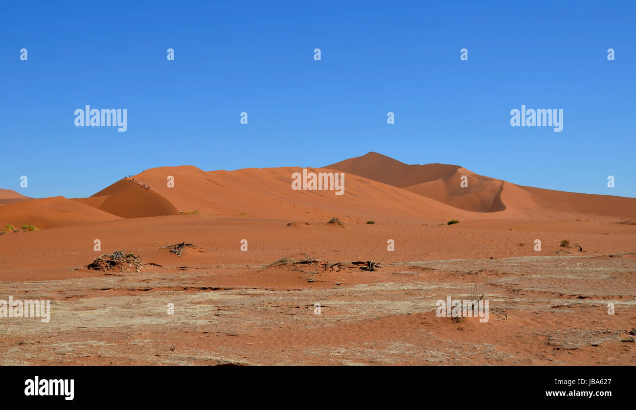 Bushman adventure hi-res stock photography and images - Alamy