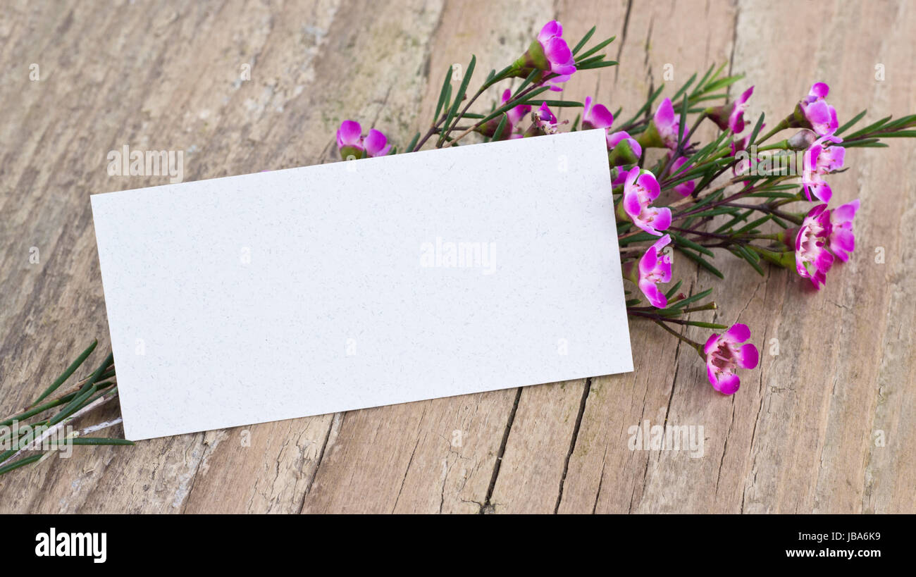plank sheet of paper Stock Photo - Alamy