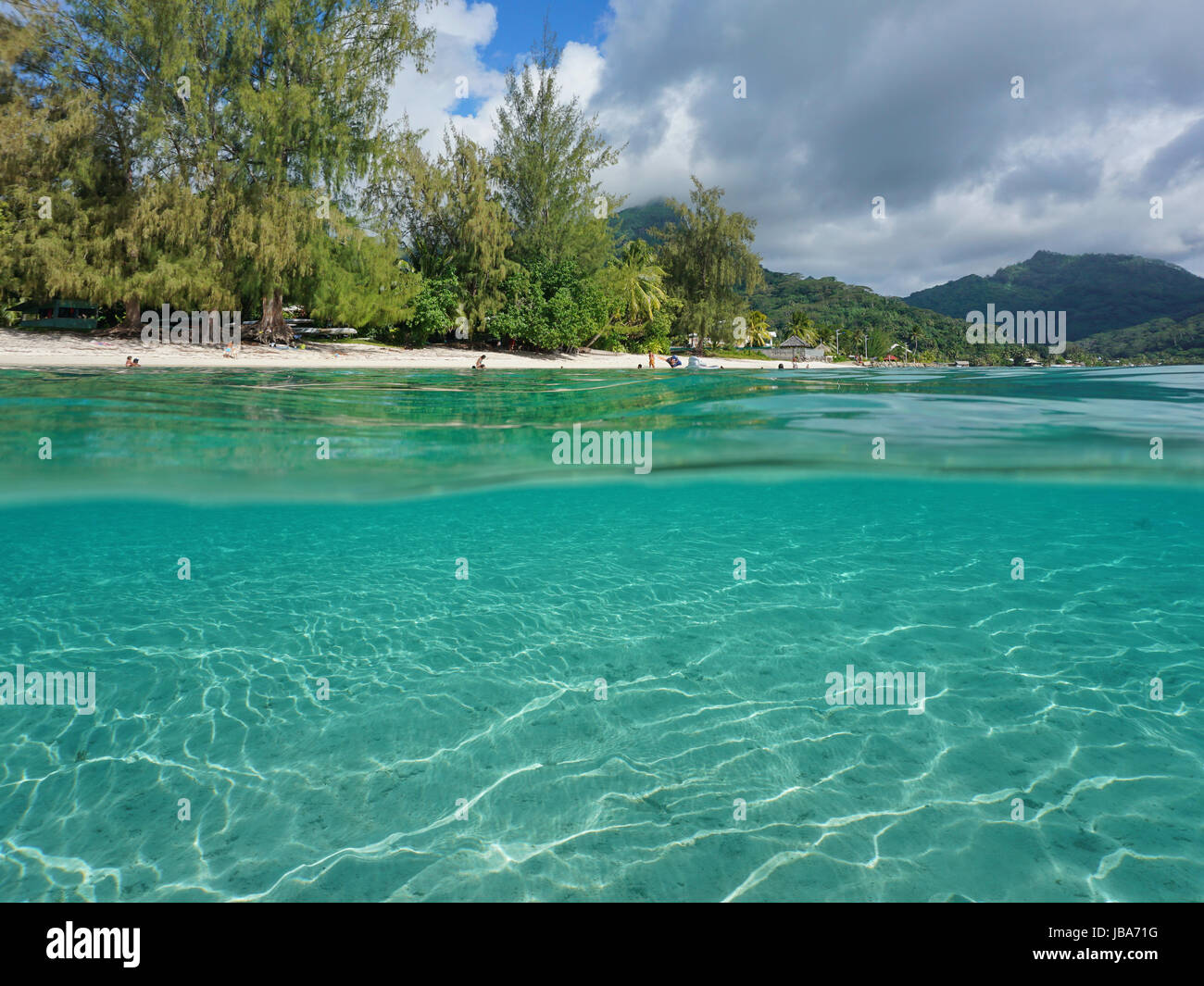 Over and under sea surface near tropical beach shore with a sandy ...