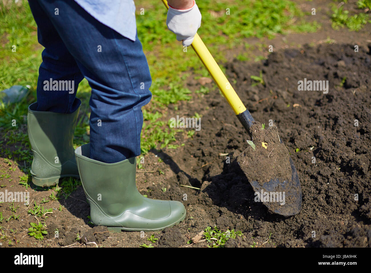 Image of male farmer digging in the garden Stock Photo - Alamy