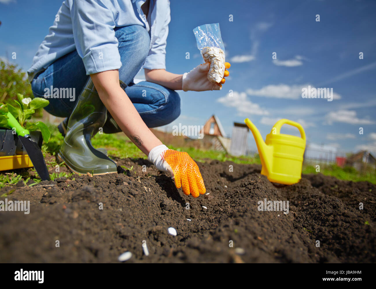 Image of female farmer sowing seed in the garden Stock Photo - Alamy