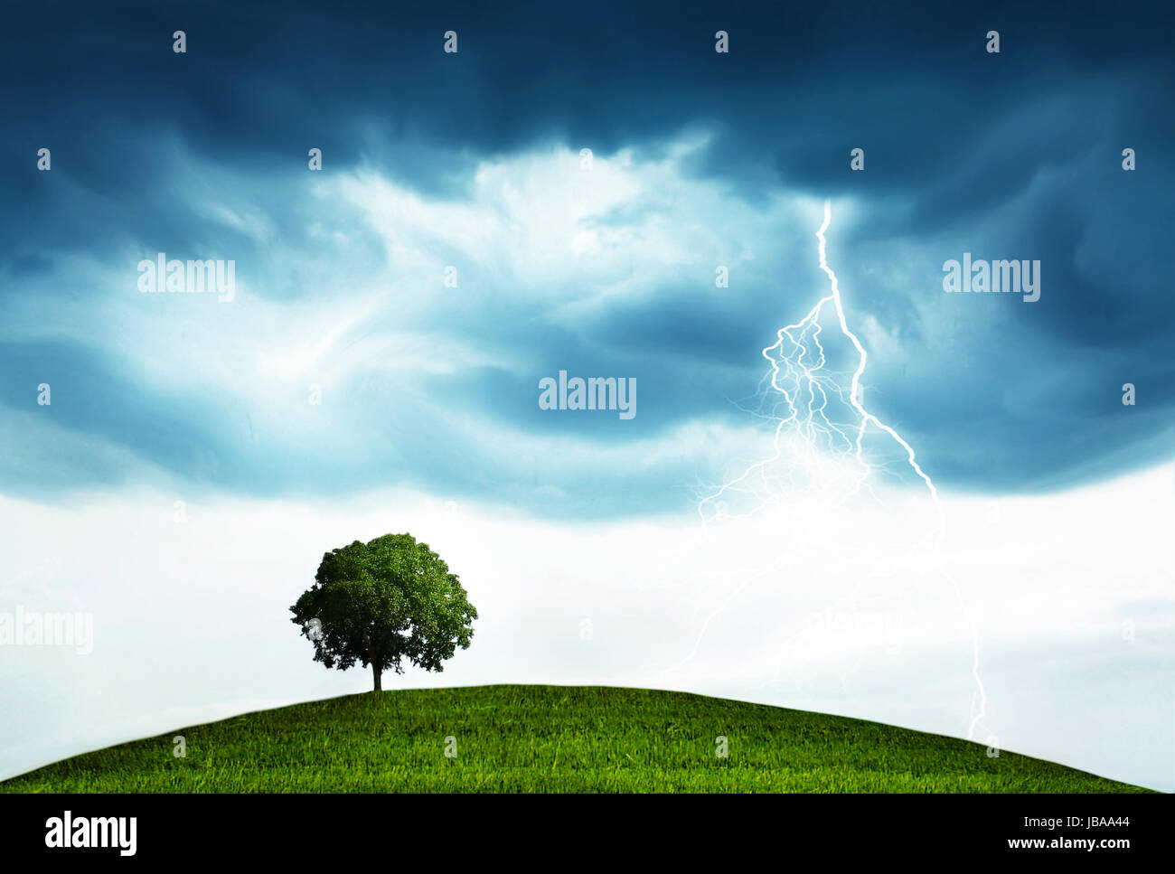 The natural landscape with the storm, overcast sky and lonely tree ...