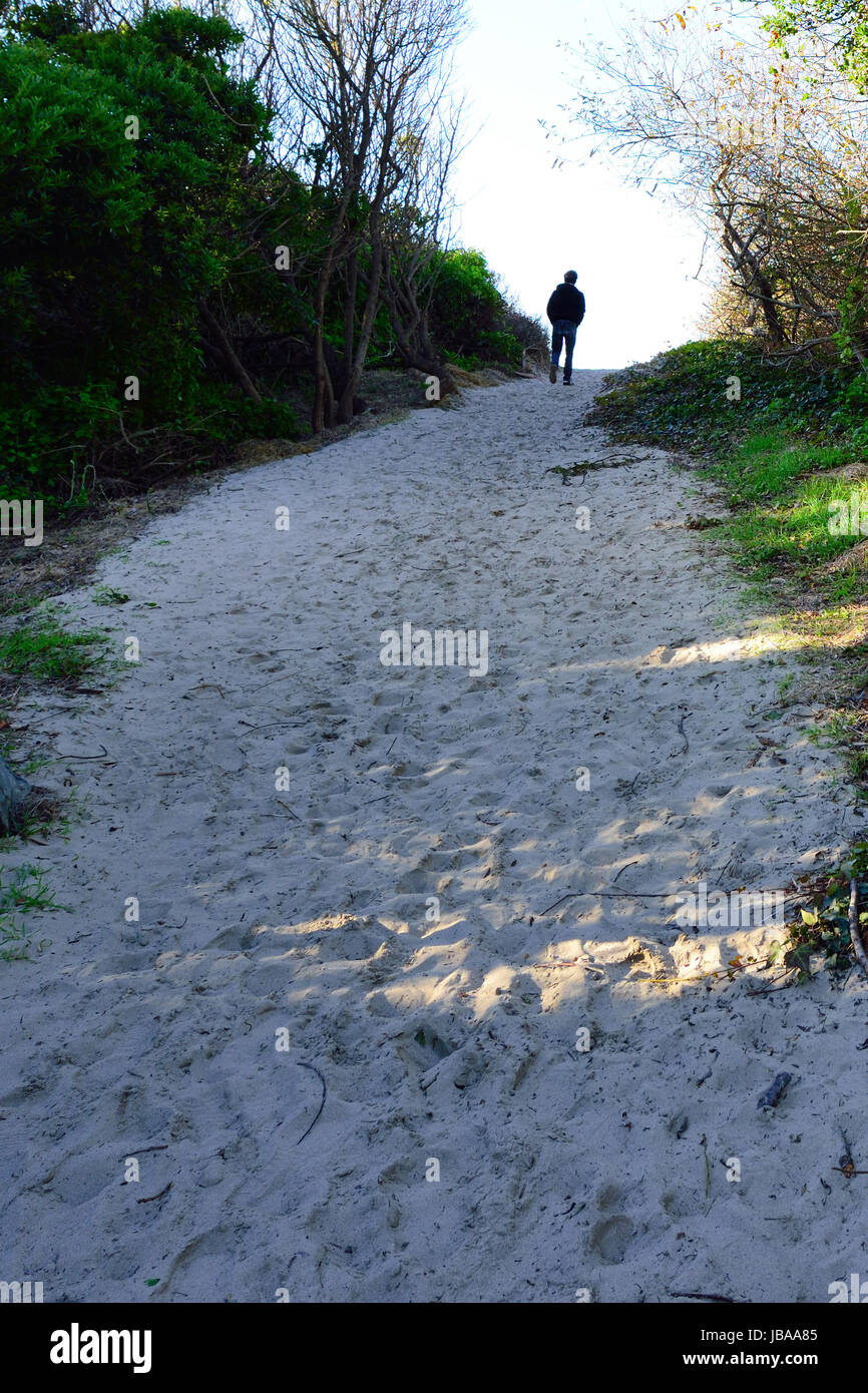 Lonely Path / person walking on a lonely beach path Stock Photo - Alamy