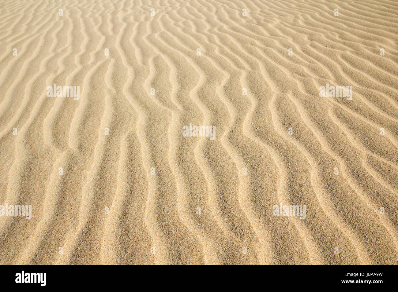 Desert sand pattern texture background from the sand in the Dunes of ...