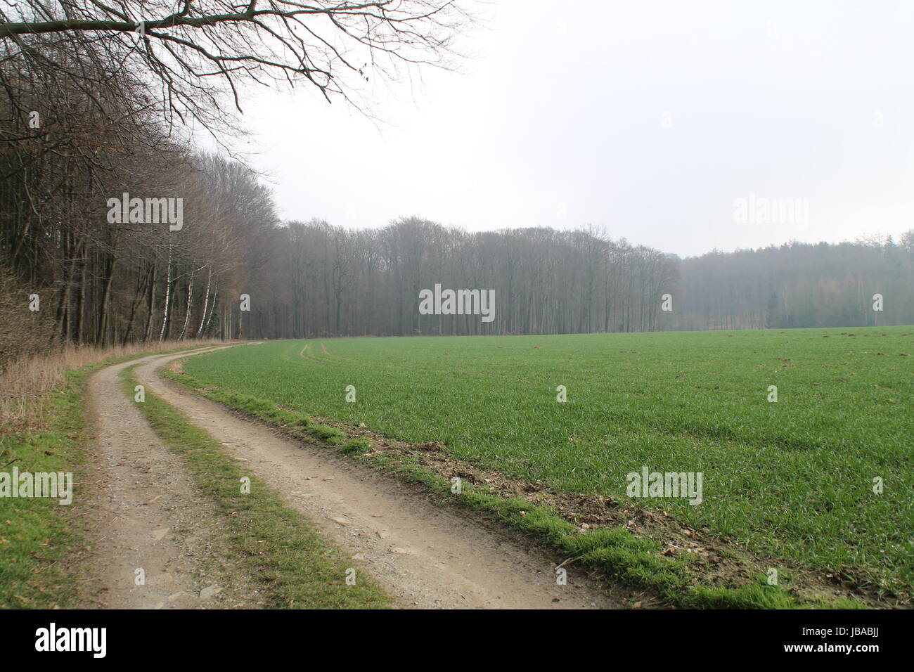 a dirt road Stock Photo - Alamy