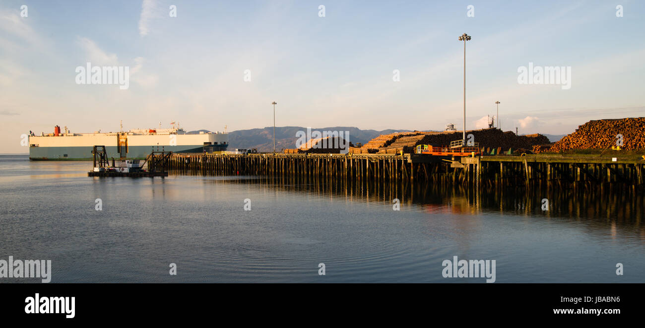 Harvested logs sit waiting for export as a large ship steams past ...
