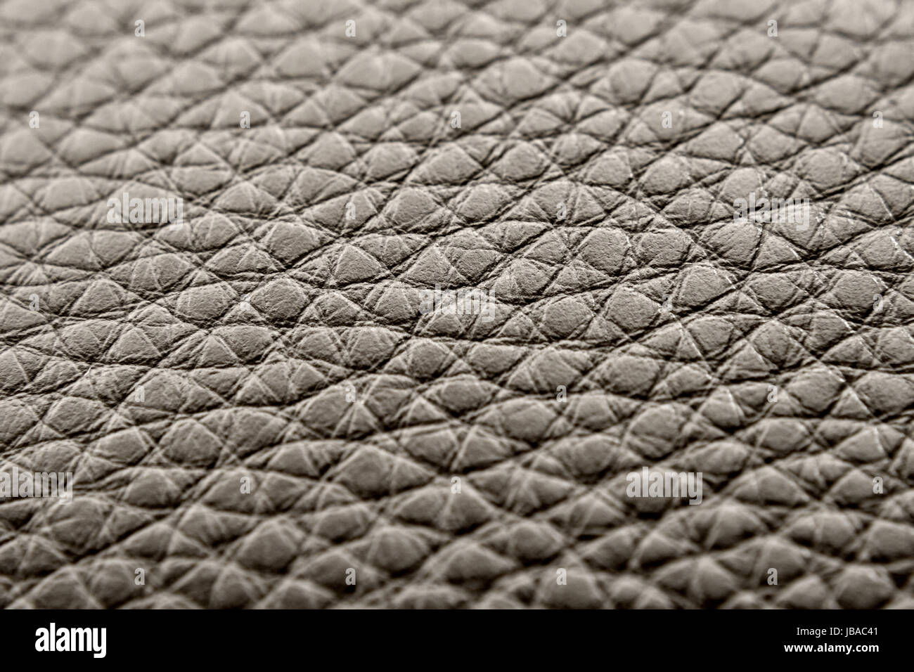 Animal skin Texture of the close up Stock Photo - Alamy