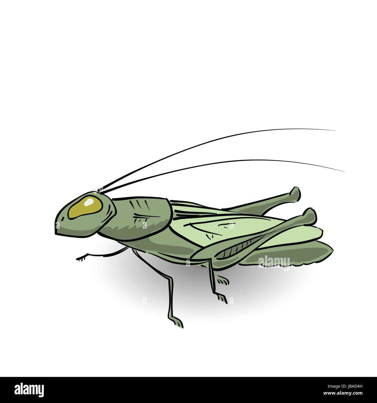 Locust cartoon illustration hi-res stock photography and images - Alamy