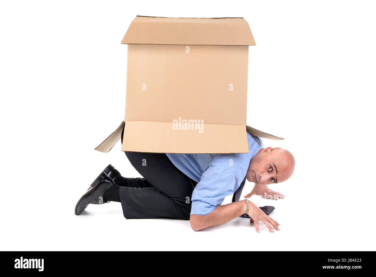 Businessman inside a cardboard box house Stock Photo - Alamy