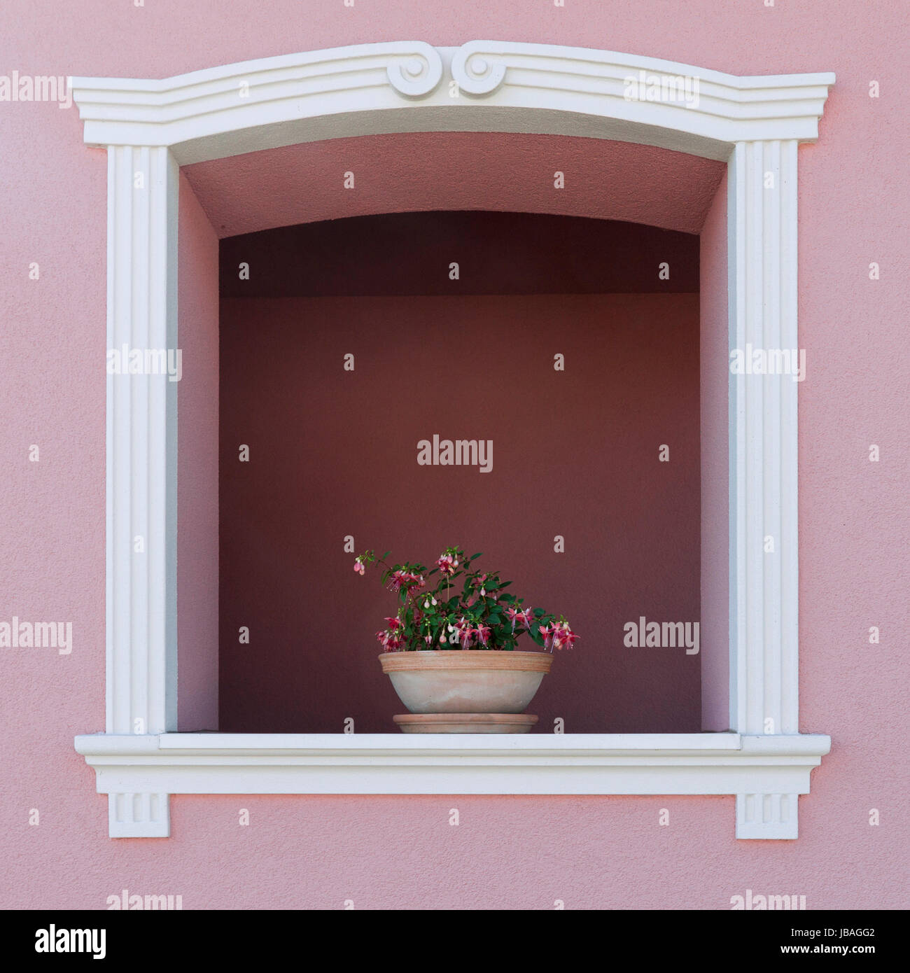 Flower pot standing on the classic arch window Stock Photo - Alamy