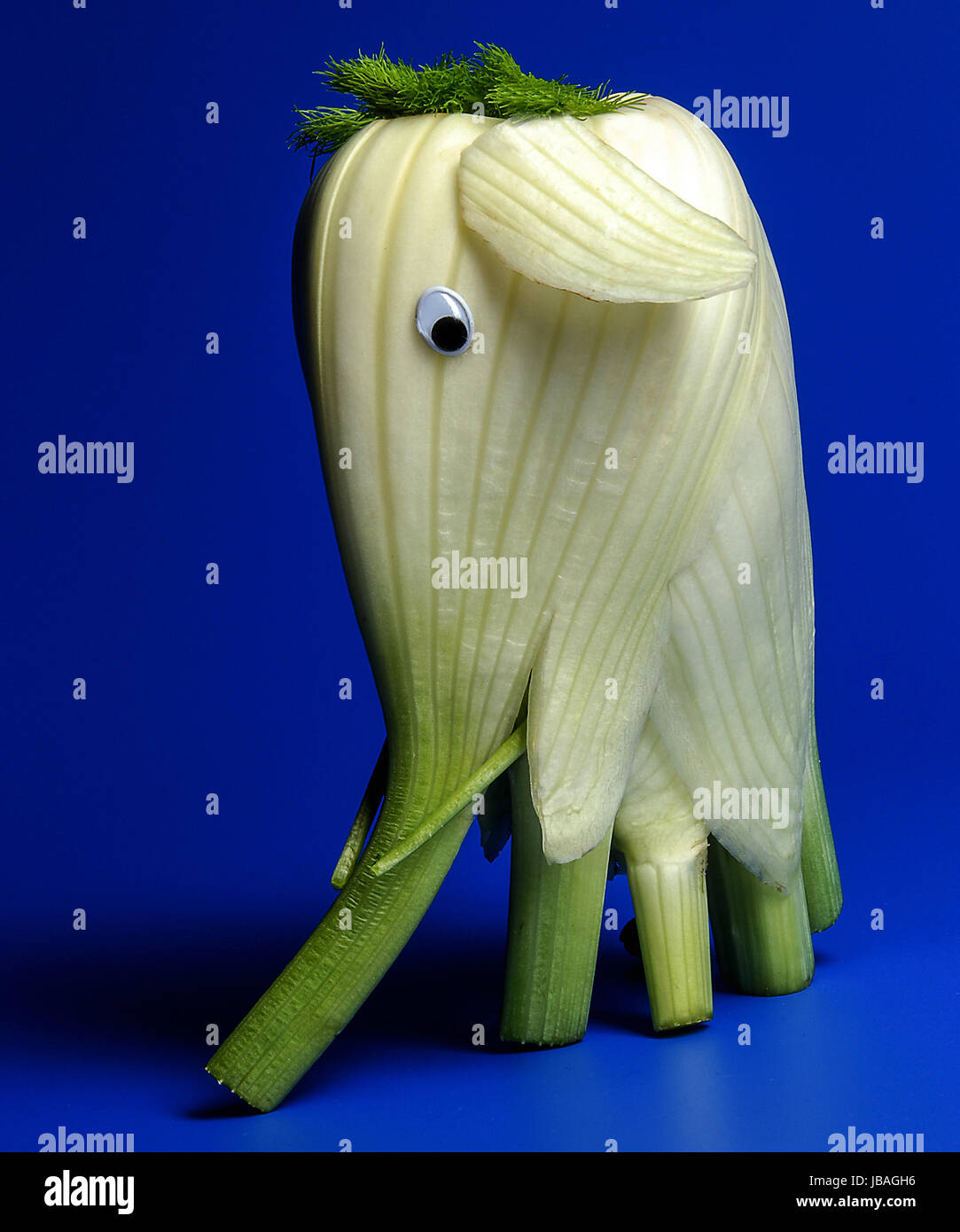 Elephant juice hi-res stock photography and images - Alamy