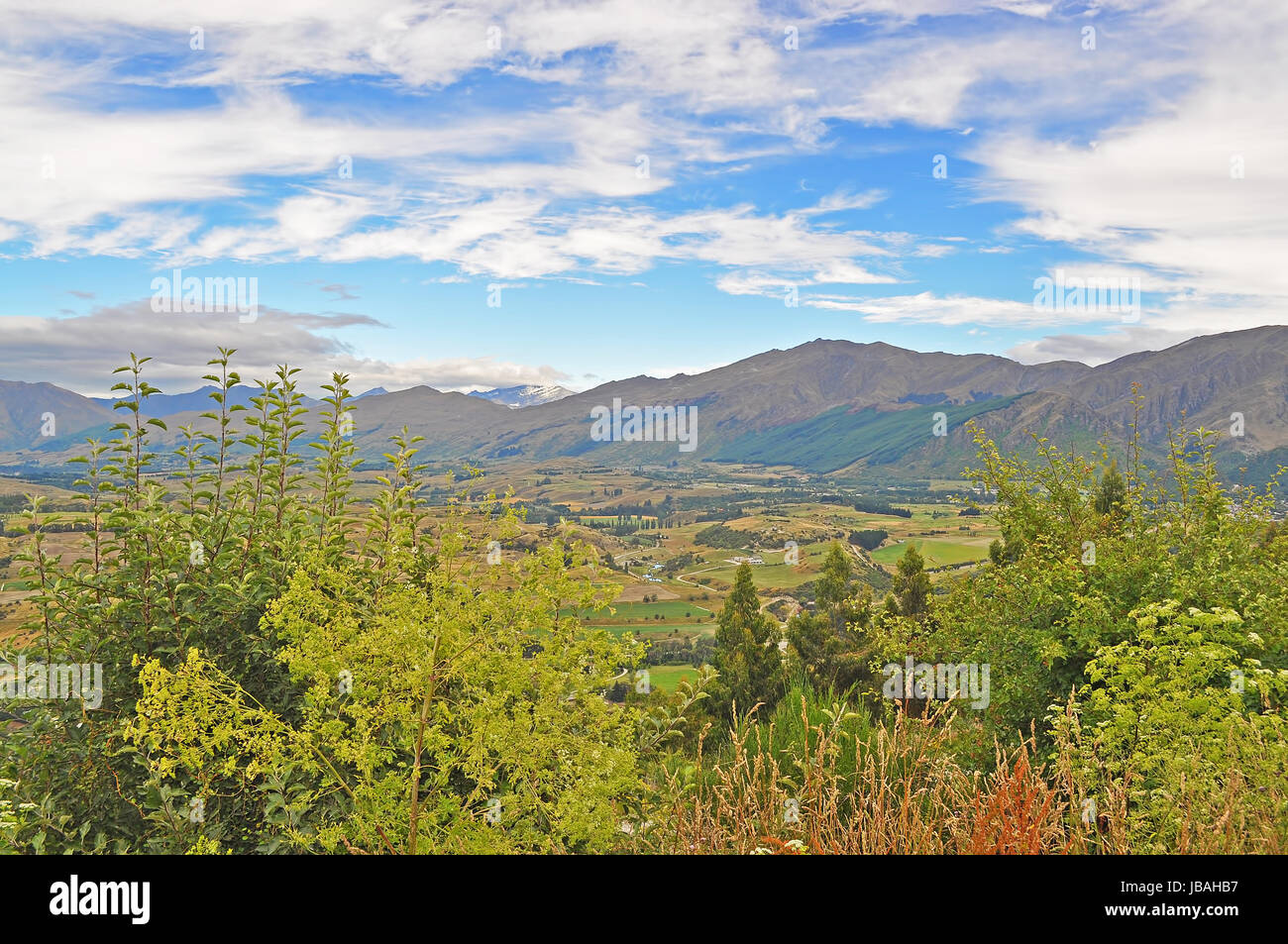 Grass with mountain background Stock Photo - Alamy