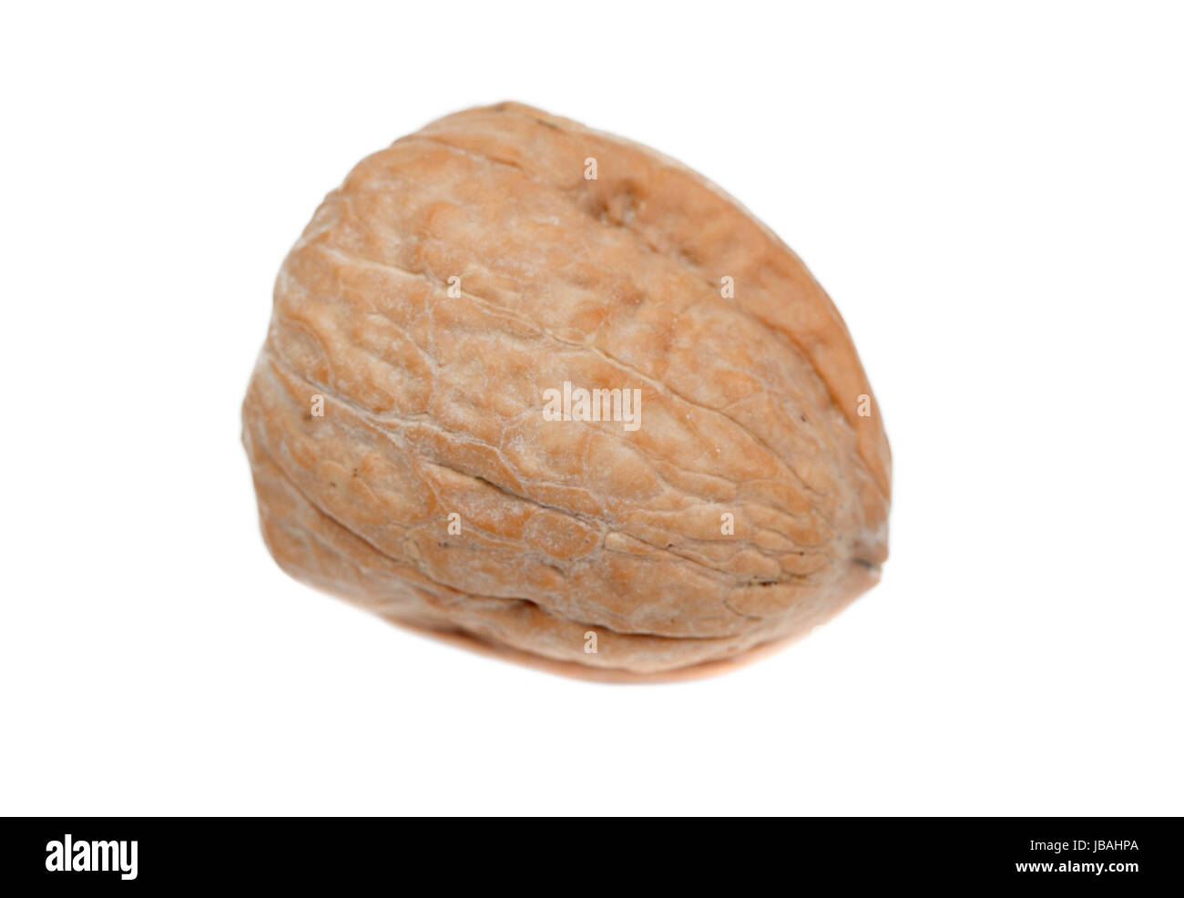Single walnut isolated on a white background Stock Photo - Alamy