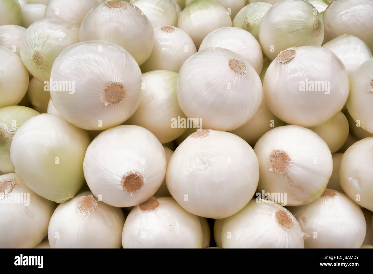 Approach to group of onions showing his details, textures and colors ...