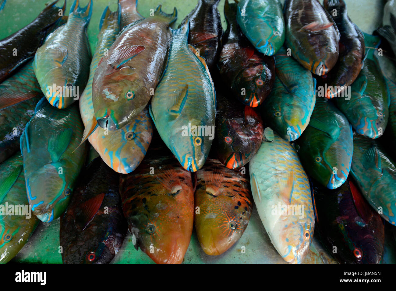 Frischer Papagai Fisch in einem Seafood Restaurant an der Rawai Beach ...