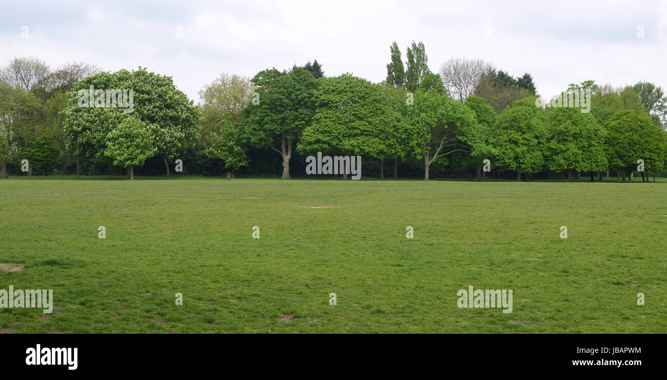 Regent's Park landscape in London, England, UK Stock Photo - Alamy