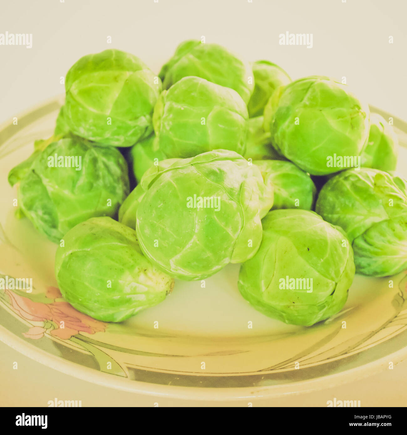 Vintage retro looking Brussel sprouts mini cabbages isolated Stock ...