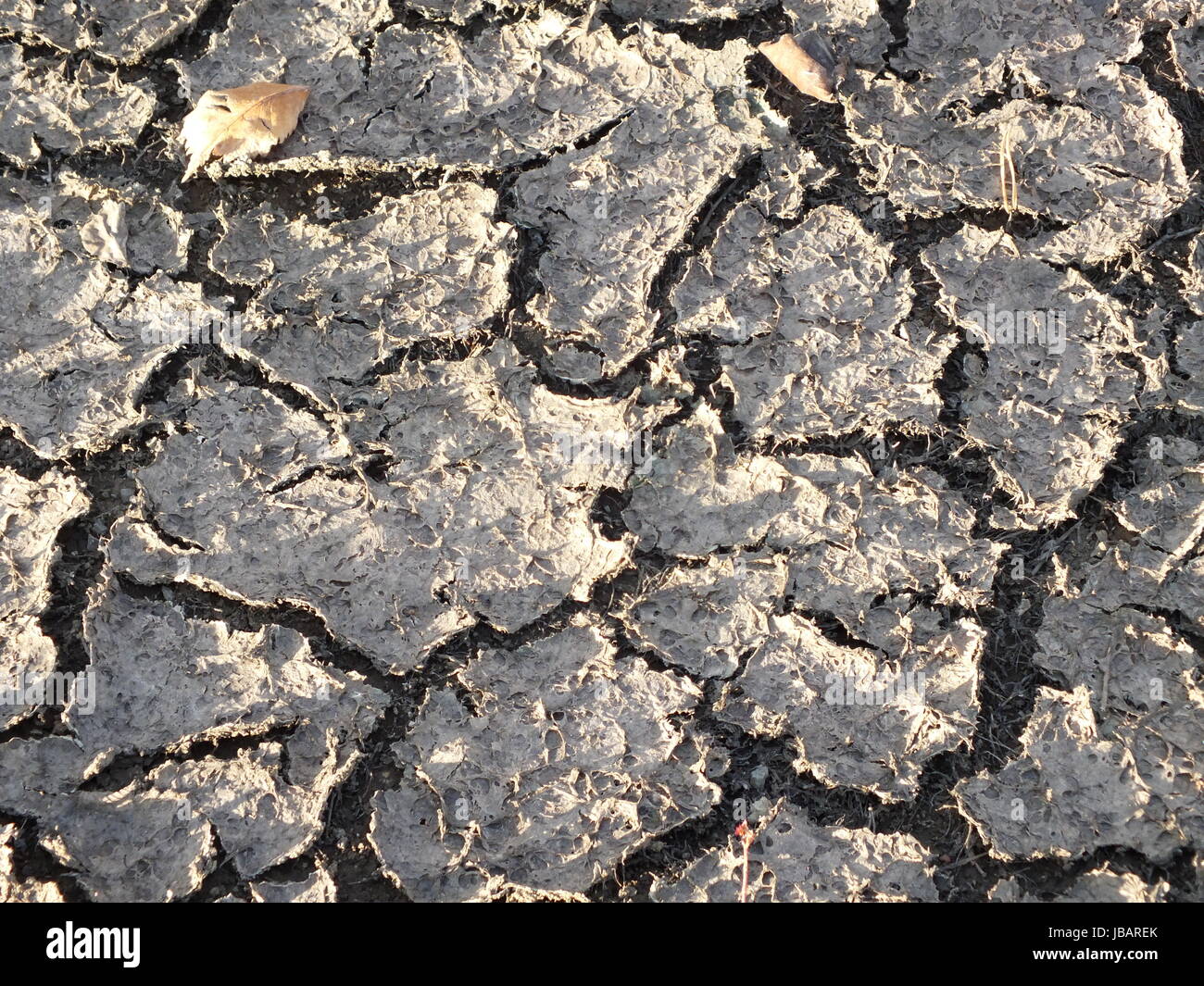 completely dried crust Stock Photo - Alamy
