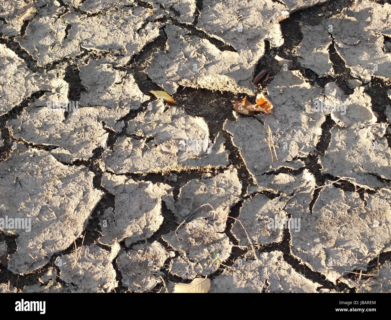 completely dried crust Stock Photo - Alamy