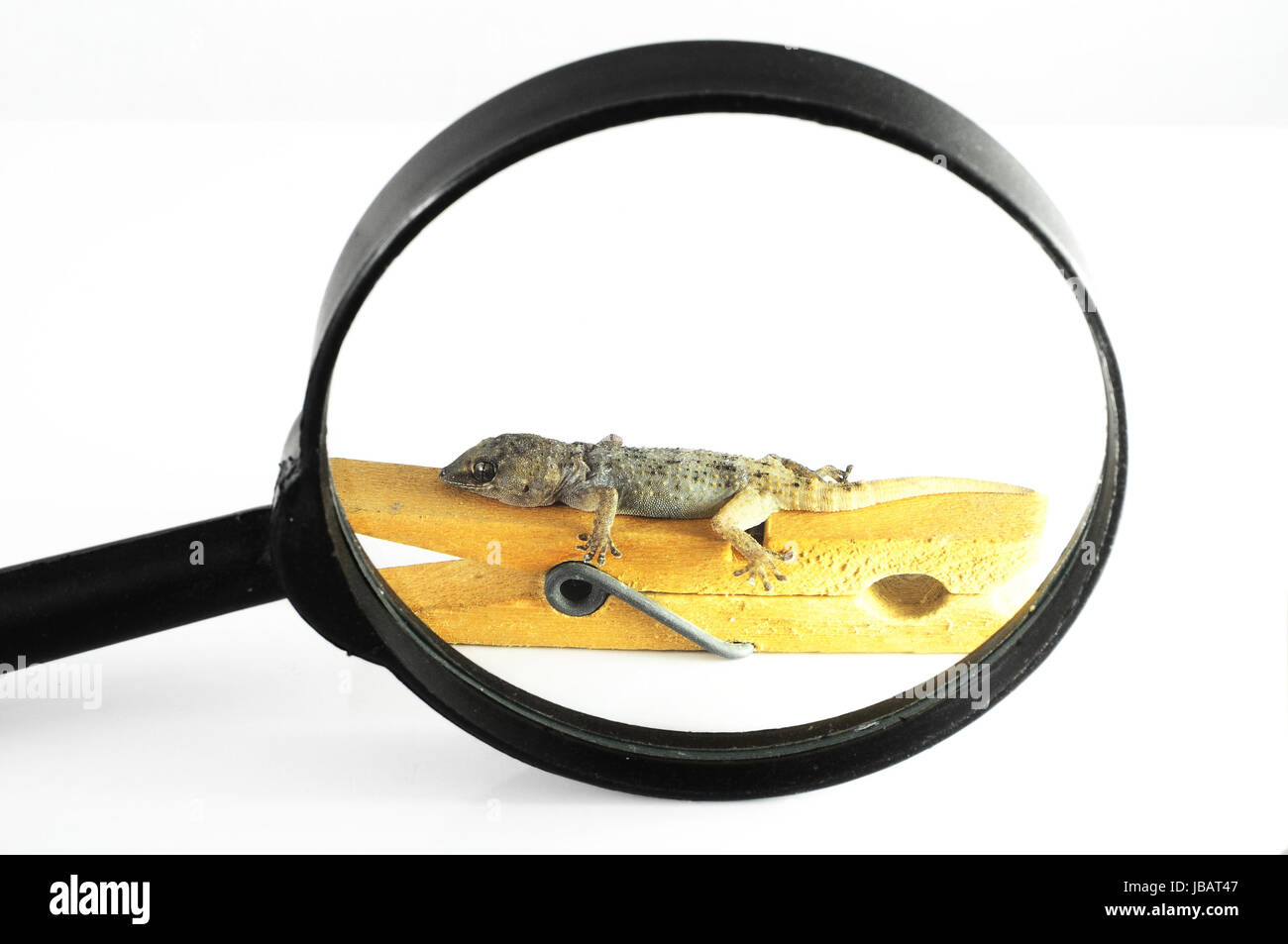 Micro length Cut Out Stock Images & Pictures - Alamy