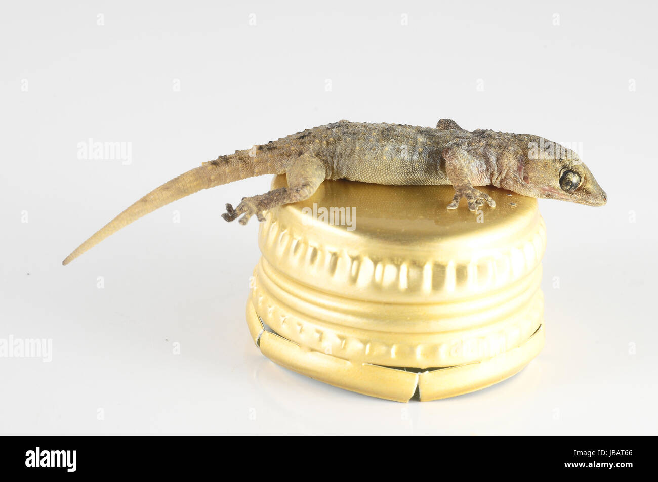 928c hi-res stock photography and images - Alamy