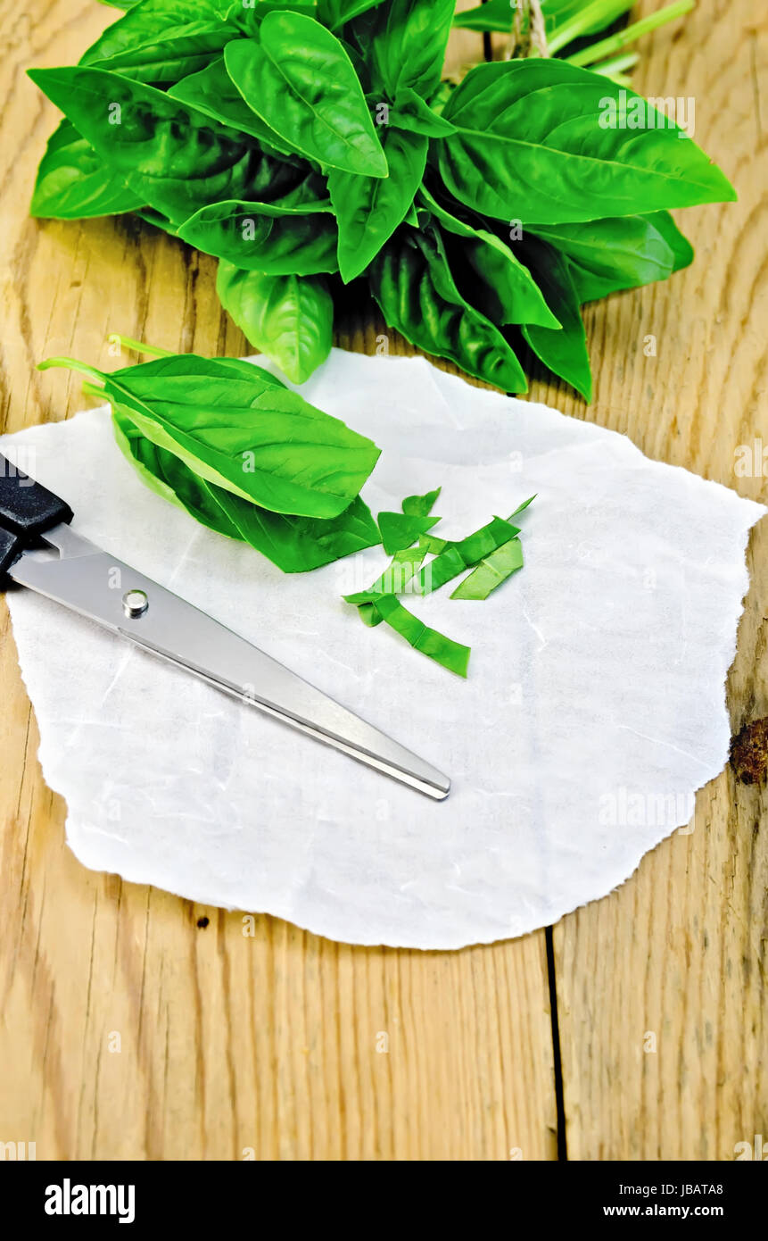 Green basil cut with scissors on paper on the background of wooden ...