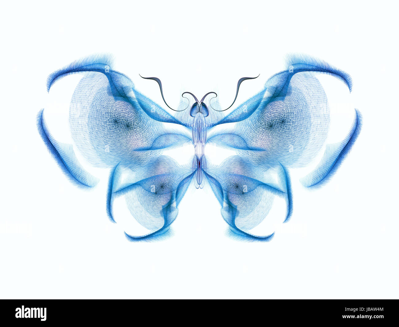 Never Were Butterflies series. Creative arrangement of isolated ...