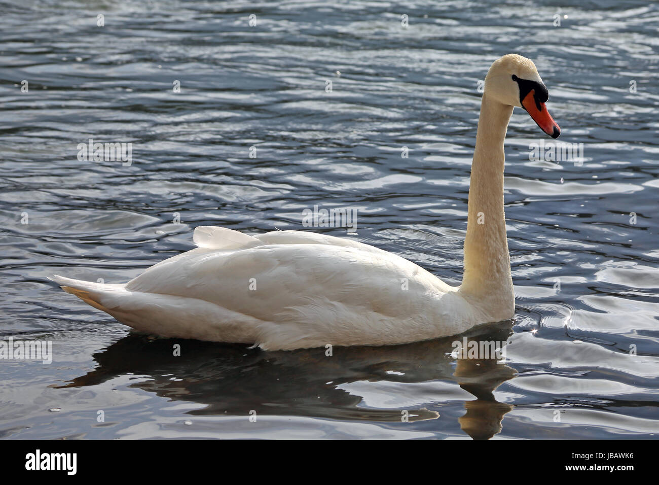 jetblack deep black Stock Photo - Alamy