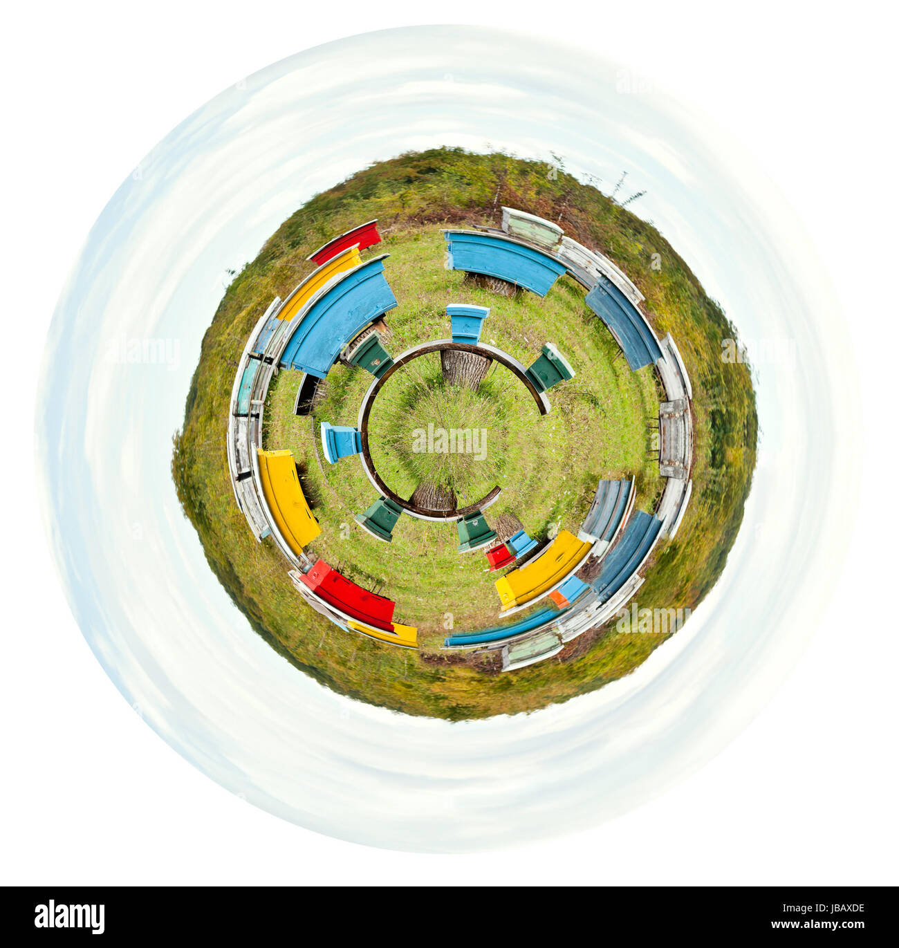 Meadow wood in autumn Cut Out Stock Images & Pictures - Alamy